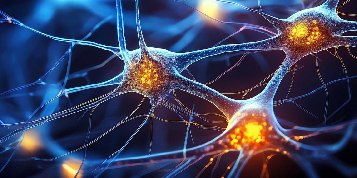New computational tool decodes the molecular rules of brain connectivity