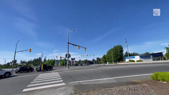 Urban crows beside a busy Nanaimo intersection
