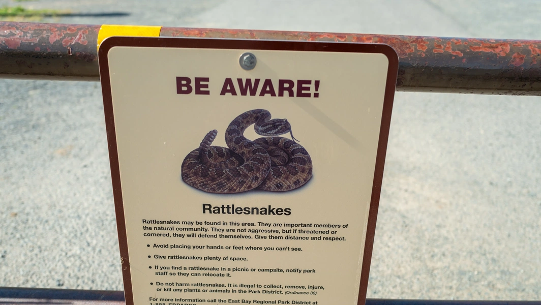 Recognizing rattlesnake signs and habitats