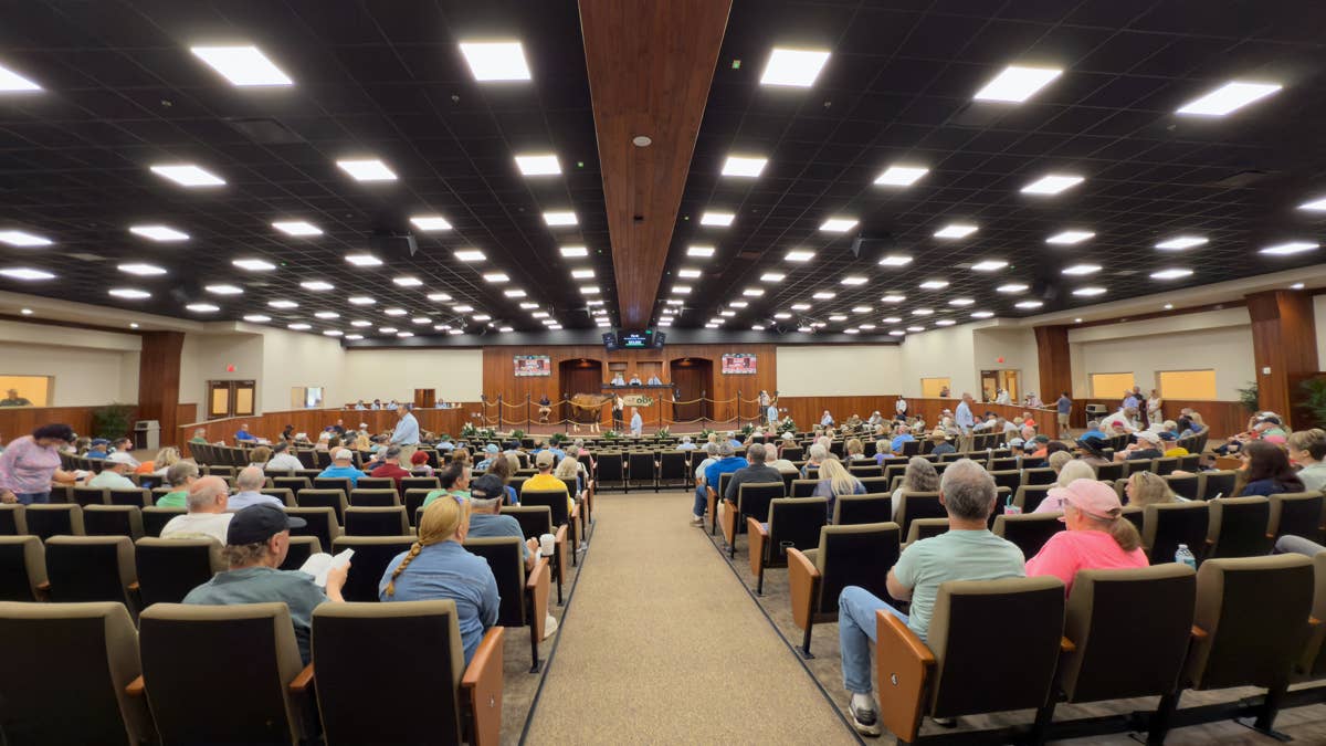 OBS June sale looks to carry forward market momentum
