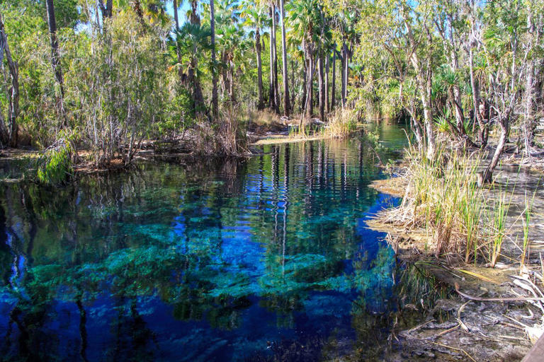 5-year-old swallows water while taking a dip in hot springs, ends up ...