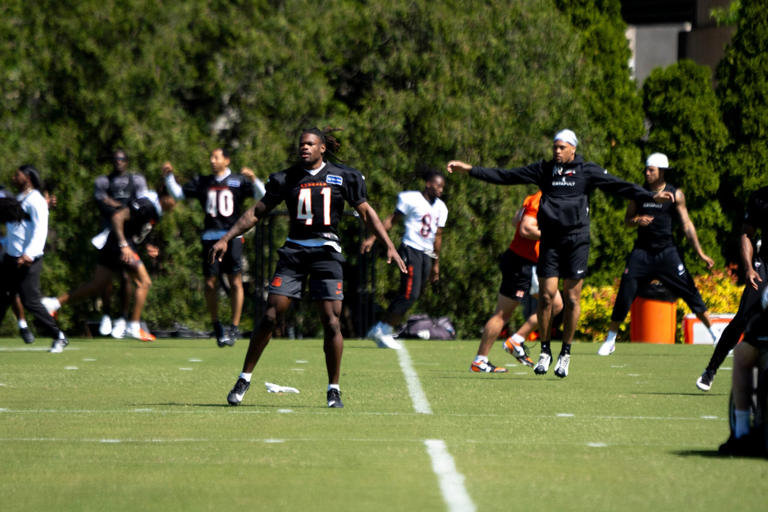 Bengals player profile: Isaiah Nwokobia trying to snatch a roster spot ...