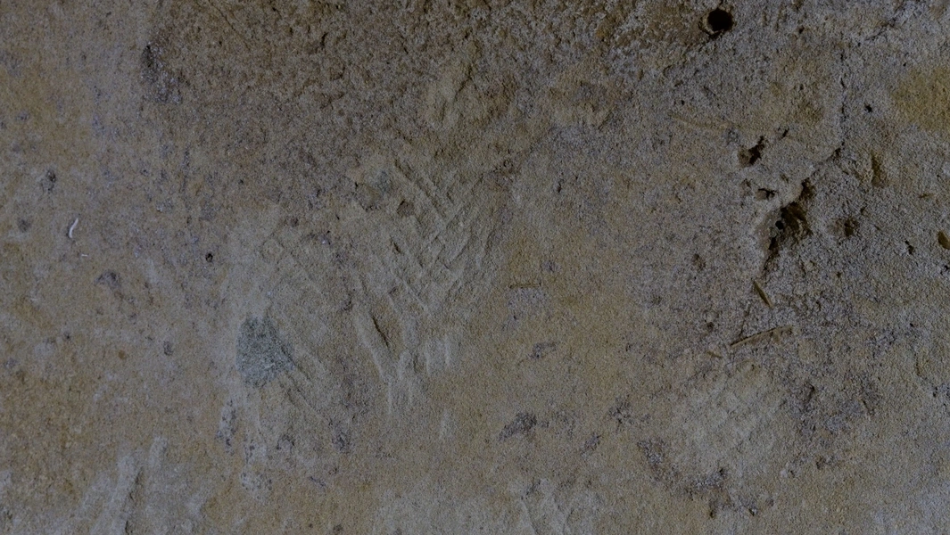 Ancient Neanderthal cave art and life at La Roche-Cotard