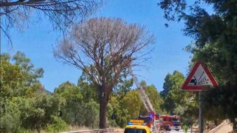Burcei, il sindaco scrive ad Anas e Città metropolitana: «Mettete in ...