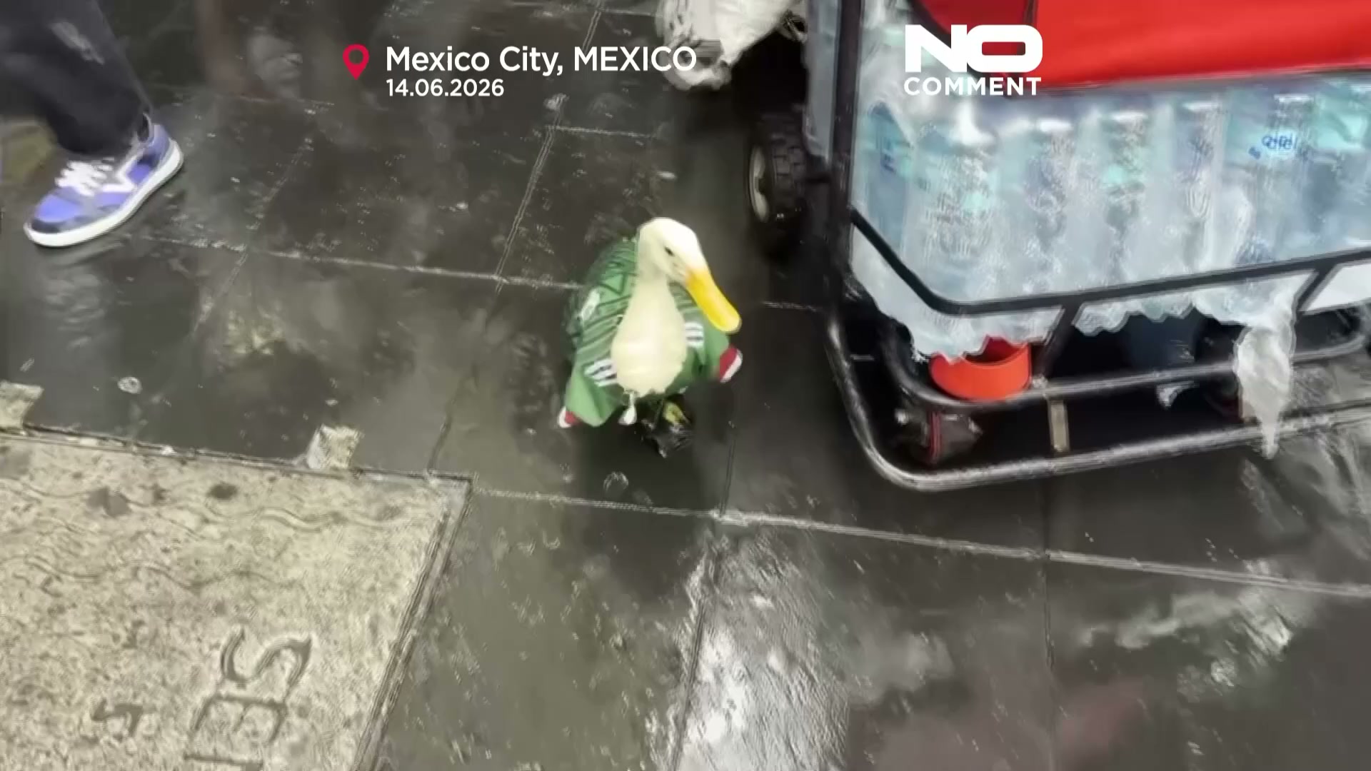 Meet Merlin: The duck that became the World Cup's viral mascot