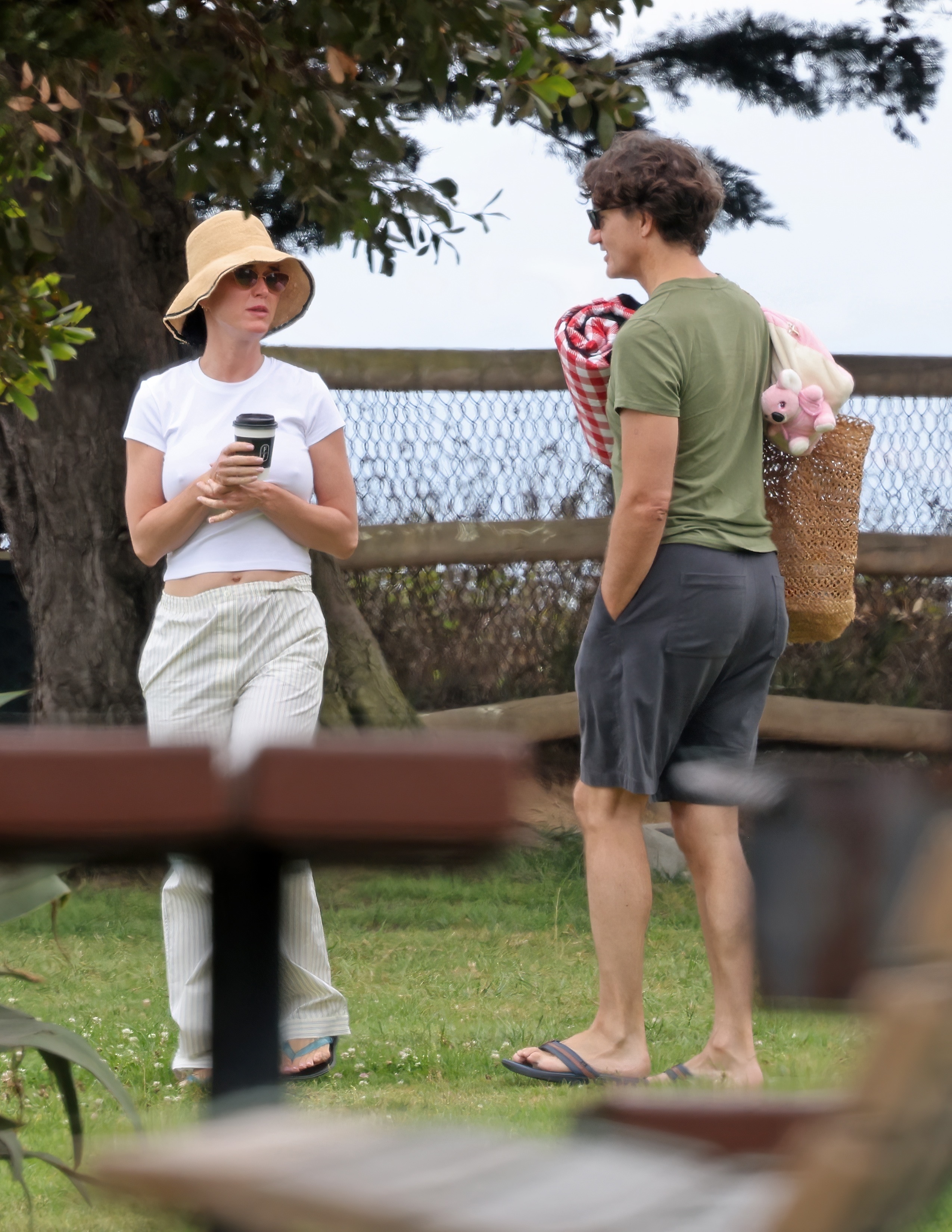 Katy Perry and Justin Trudeau get handsy during intimate picnic date in ...