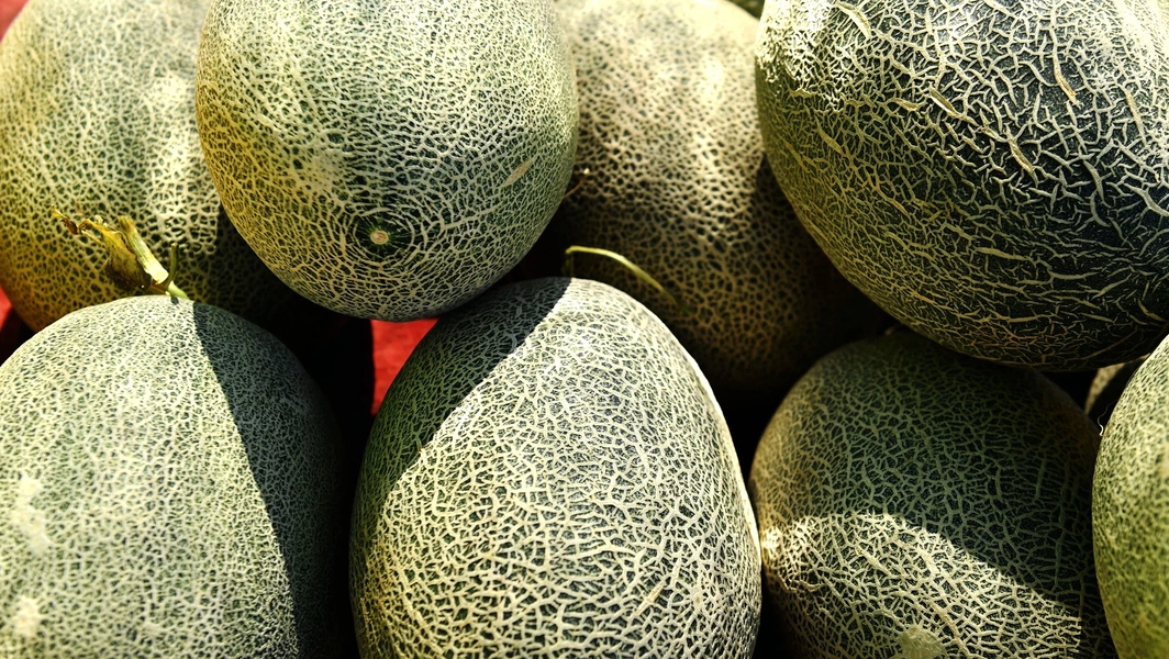 How to choose a perfectly ripe cantaloupe