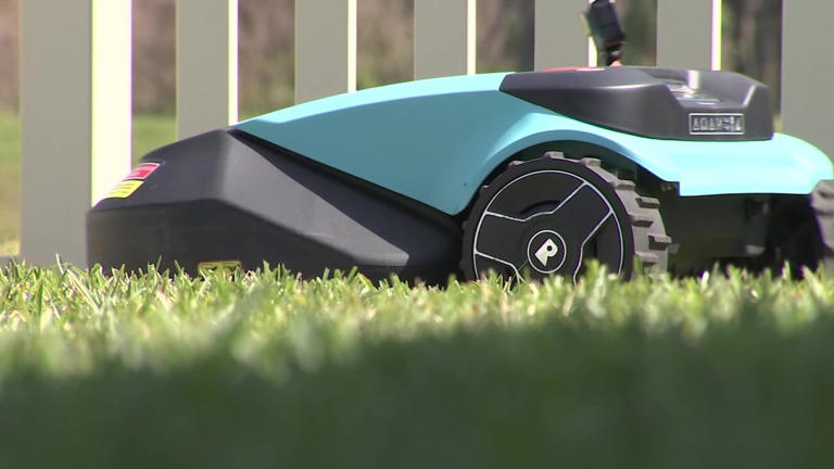What to know before buying a robotic lawn mower