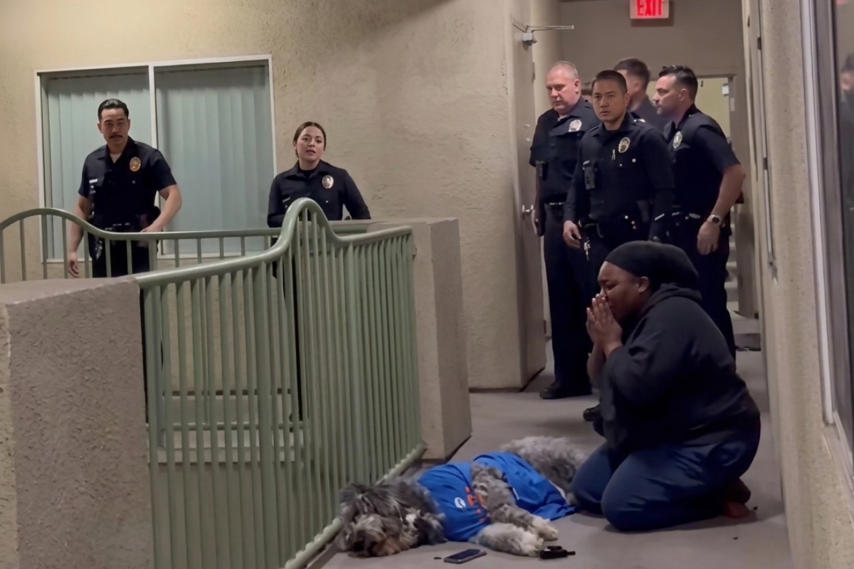 LAPD dog shooting update: Grief as woman hugs family dog after Knicks ...