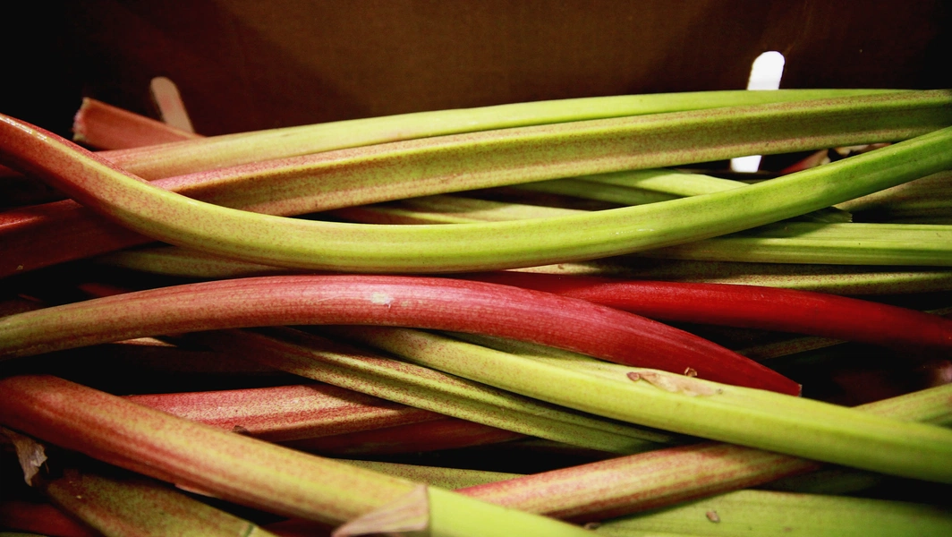 Perfecting rhubarb custard pie from start to finish