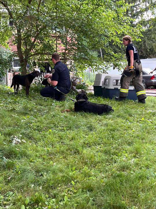 Nearly 3 dozen pets caught in Wisconsin fire, less than half survive