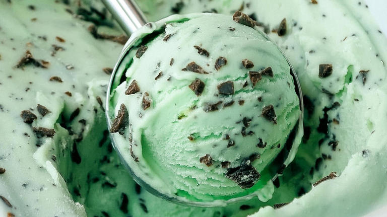 The hands-down best mint chocolate chip ice cream brand hails from the ...