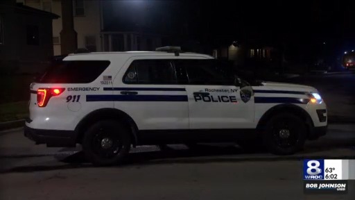 RPD: Man arrested amid fight with shotgun, dog attack on Kirkland Road