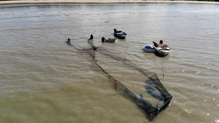 Recreational anglers demand end to tunnel-net trials in north Queensland
