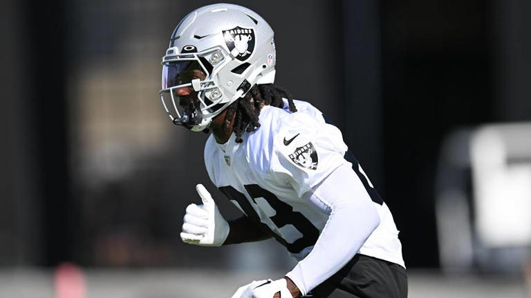 Chicago Bears signing UFL linebacker, working out veteran wide receiver
