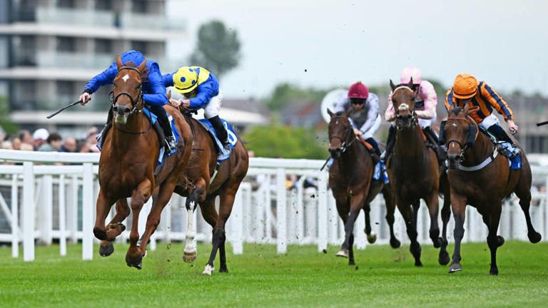 World pool betting insights: Royal Ascot brings big fields, enormous pools