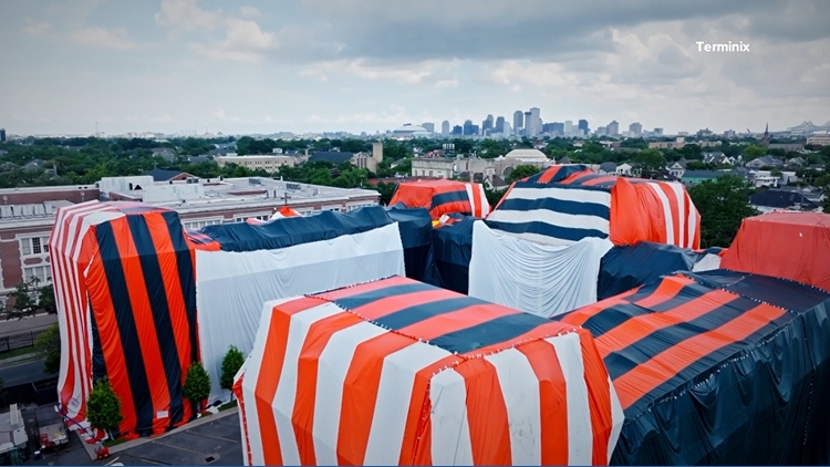 New Orleans landmark disappears under giant termite tent