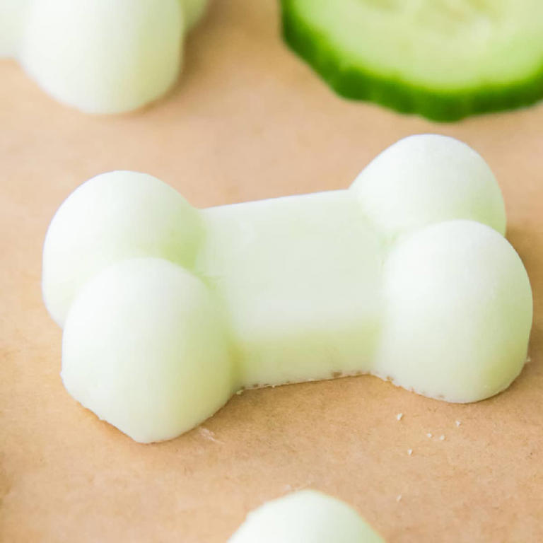Frozen watermelon dog treats (2 ingredients!)