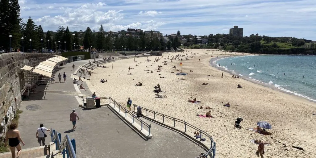 Grieving family demands urgent action after Sydney shark attack