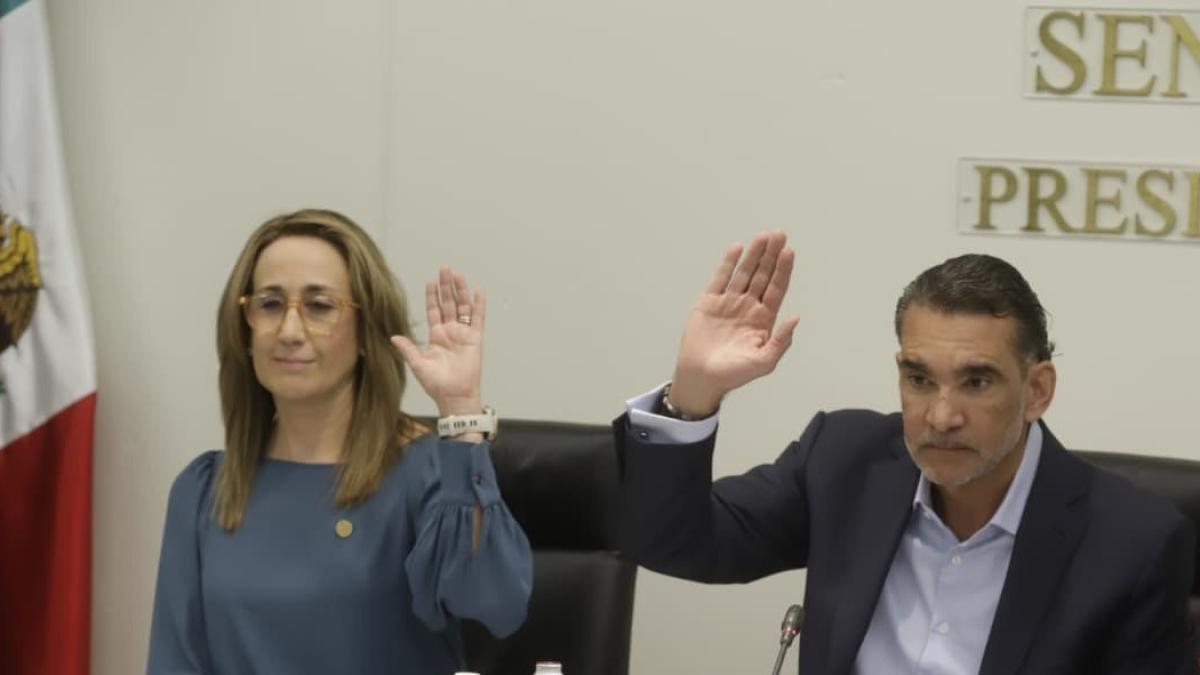Partido Verde llama a fortalecer la tenencia responsable para combatir ...