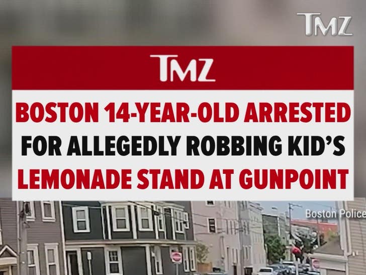 Kids’ lemonade stand robbed at gunpoint, teen busted
