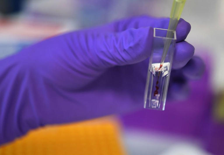 Scientists successfully reversed aging in human stem cells and the key ...