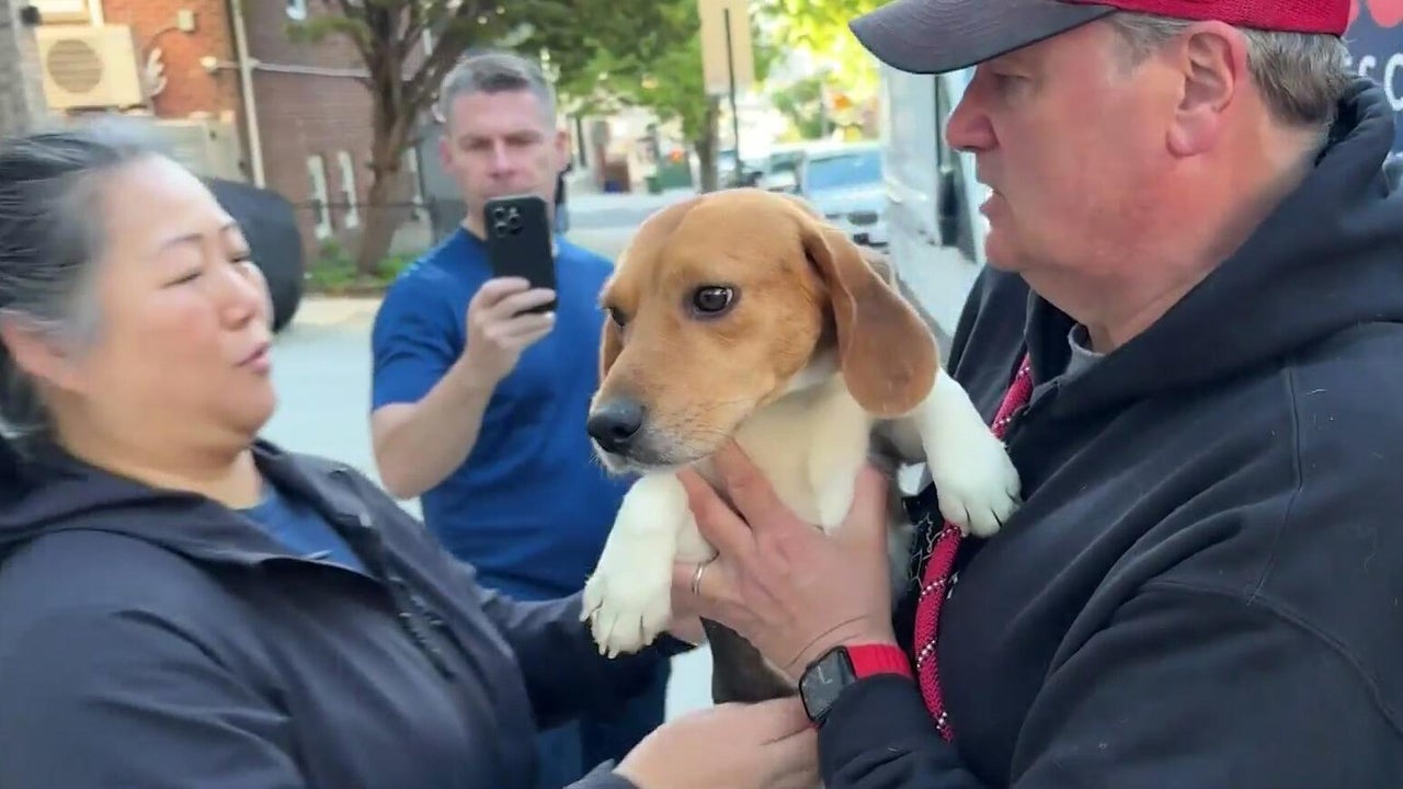 Major victory for dog rescue: Wisconsin breeding facility to shut down ...