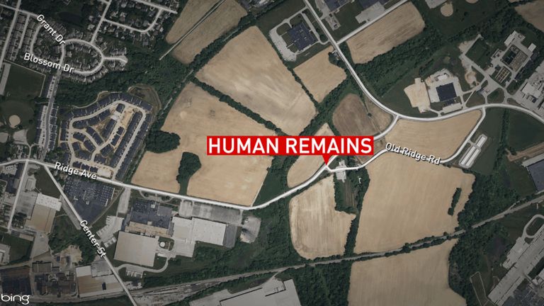 Man who went missing in 2025 identified as skeletal remains found in ...