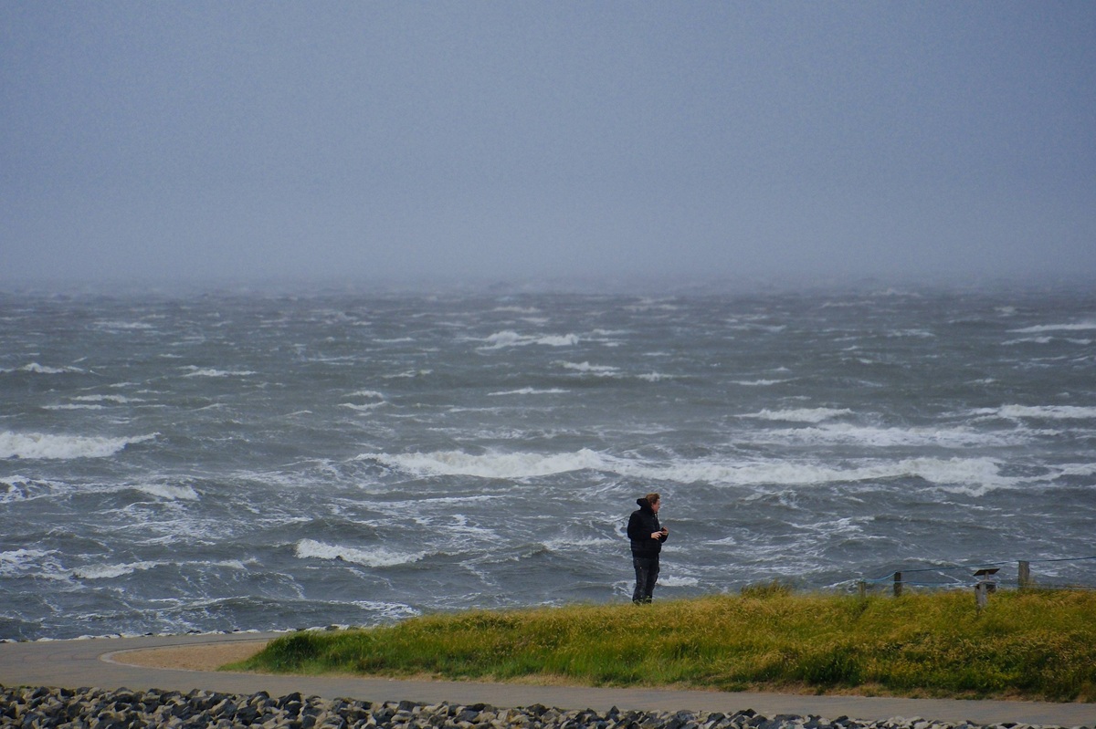 Bereits im Gange! Studie warnt vor stiller Gefahr in der Nordsee
