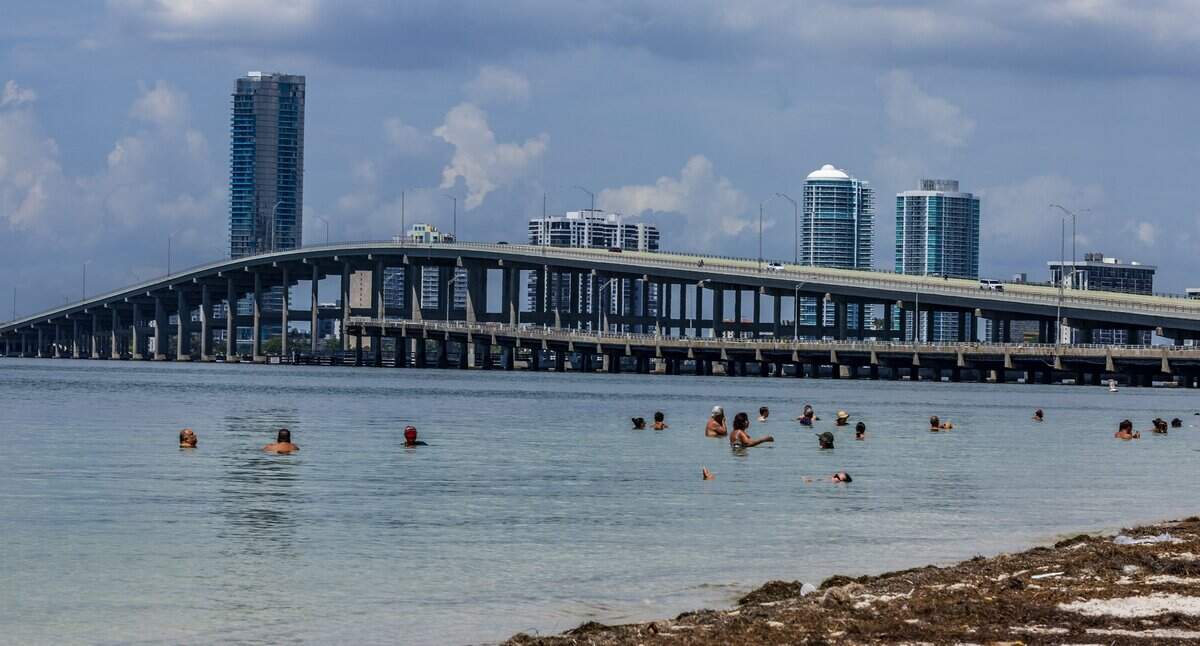 Body of missing Biscayne Bay charter boat passenger found, FWC says