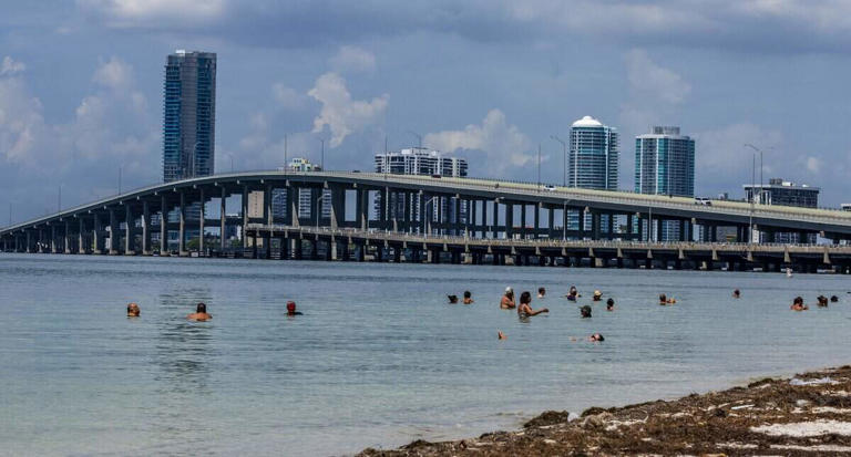 Body of missing Biscayne Bay charter boat passenger found, FWC says