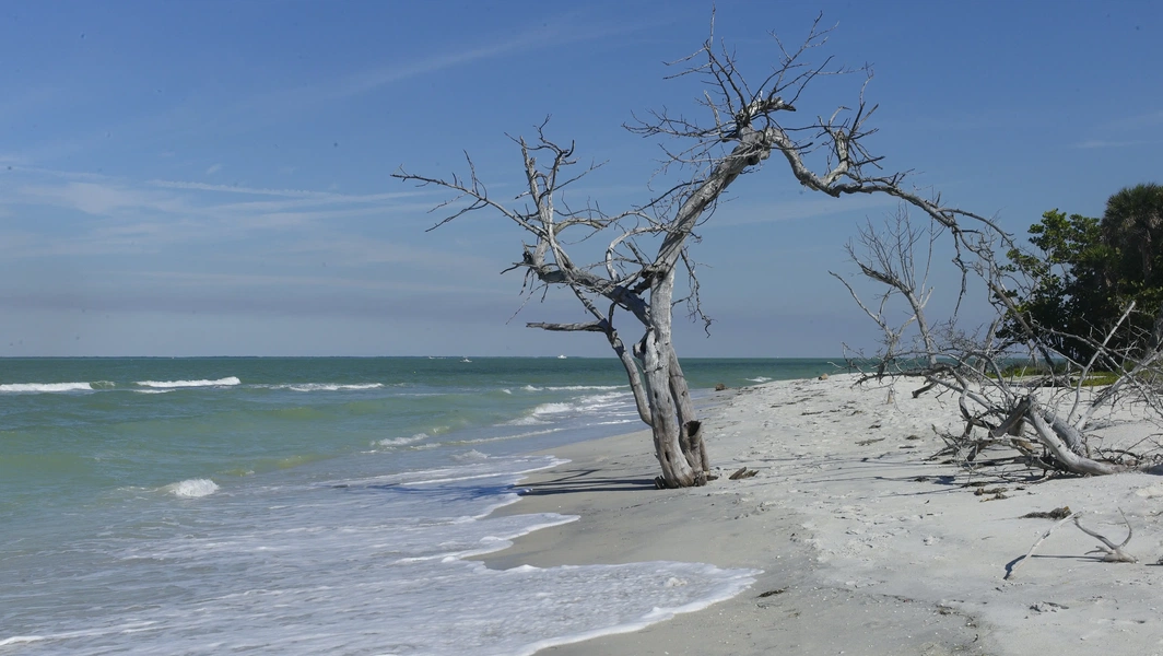 6 remote Florida islands with unique charms