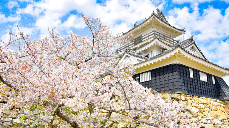 Situated between Tokyo and Osaka is a beautiful, beachy, and less ...