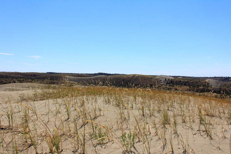 Juniper Dunes fire grows to 10,000+ acres. Fire burning into wilderness ...