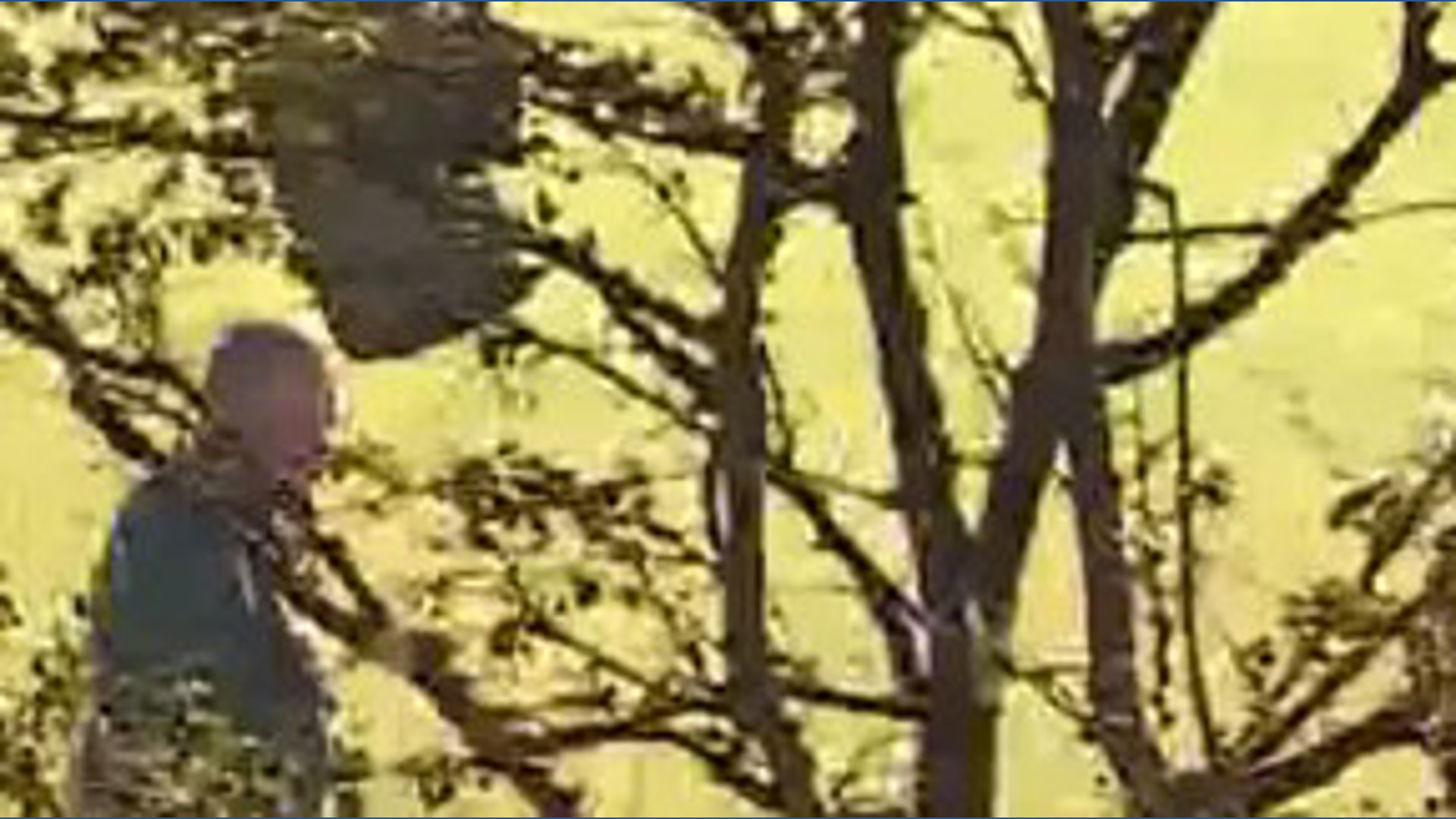 Missouri plane crash investigation begins