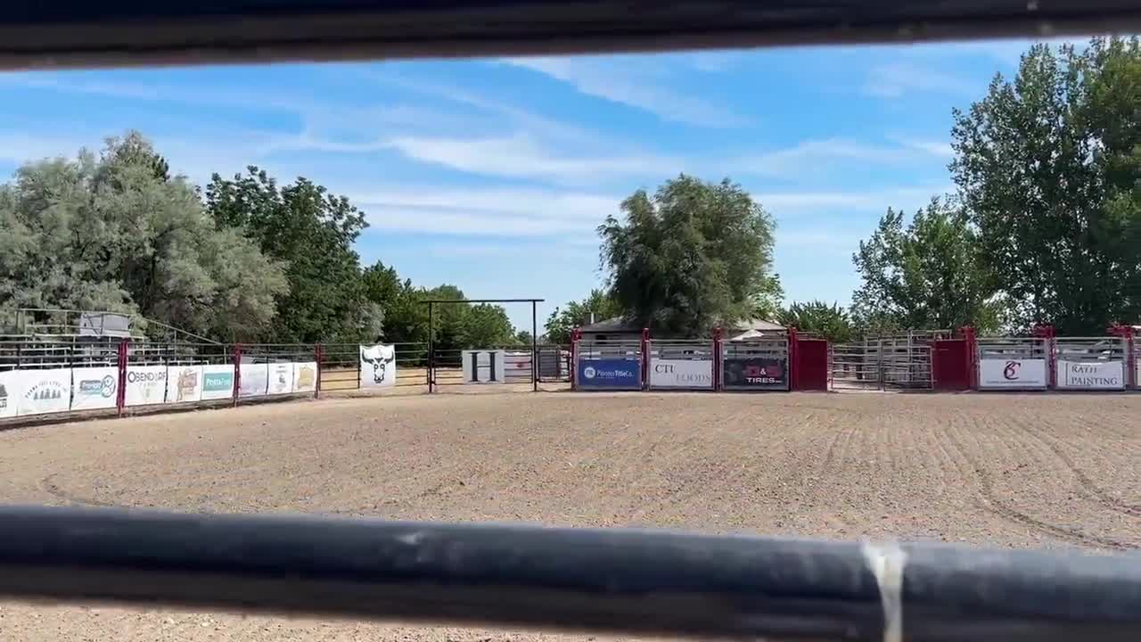 Parma Inferno bull briefly escapes arena, draws reactions from spectators