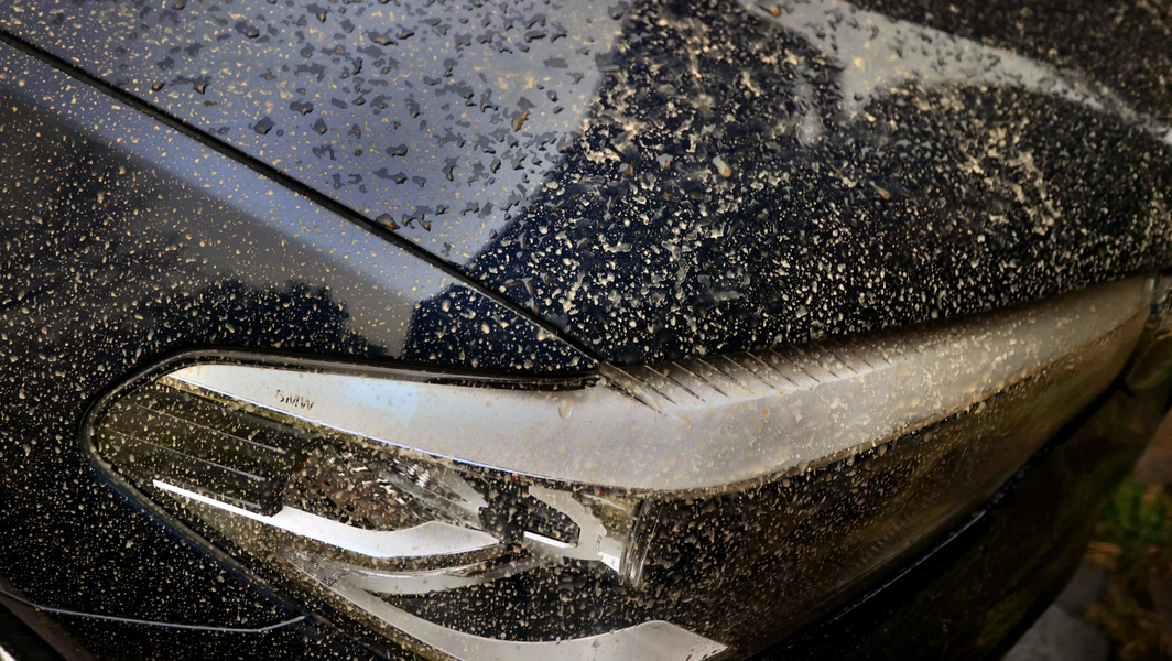 Preventing common car paint damage