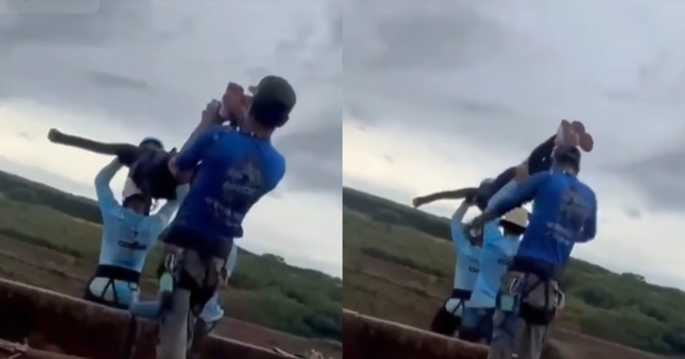 21-year-old falls to death in Brazil after safety cord was not attached ...