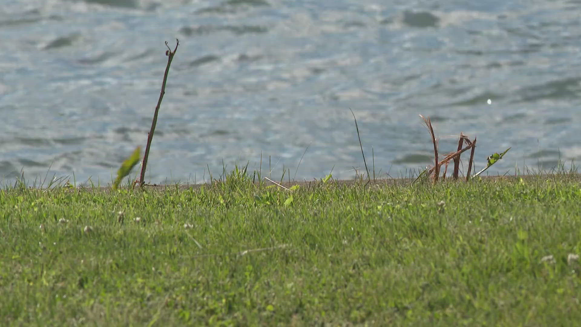 Investigation into toxic pollutants found on Cayuga Island launched by DEC