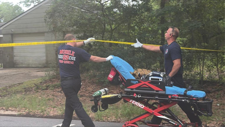 Back to back shootings in Mobile leaves one dead; police searching for ...