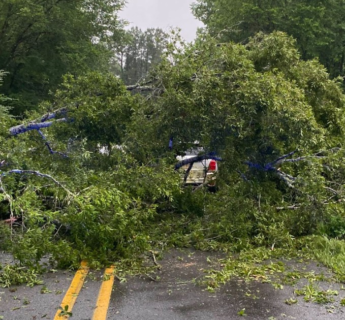 Natchitoches Parish road blocked after vehicle hits tree