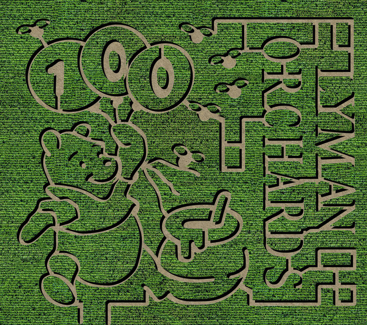 A Connecticut sunflower maze is celebrating Winnie-the-Pooh with ...
