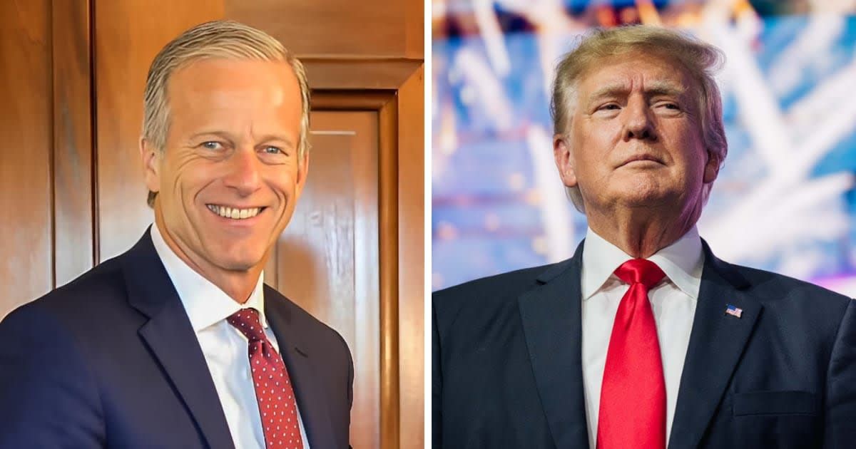 John Thune tells Trump 'no' after president demands voter ID bill tied ...