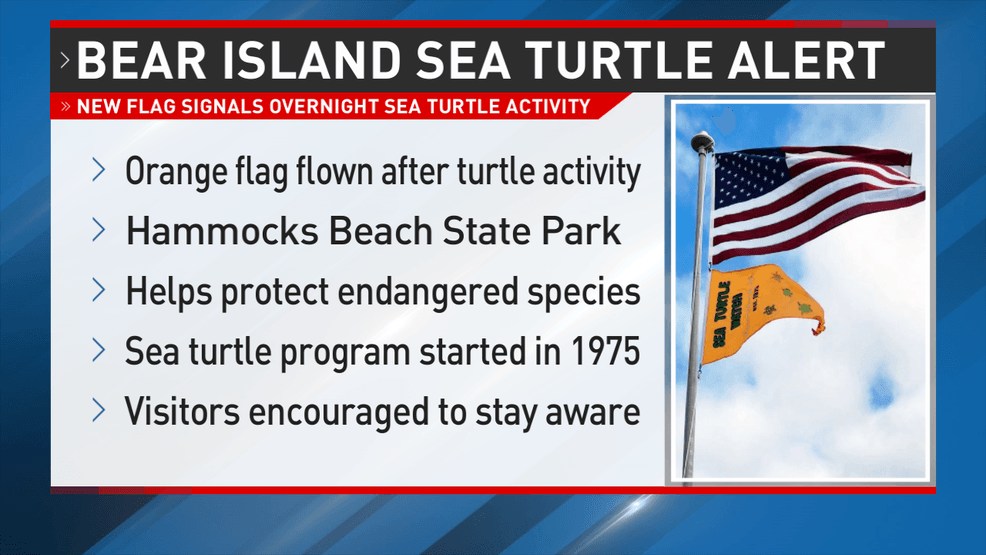 Hammocks Beach State Park introduces sea turtle activity flag on Bear ...
