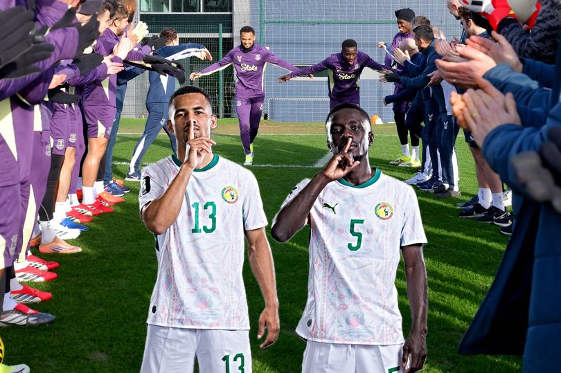 Question marks over Everton pair Idrissa Gueye and Iliman Ndiaye before ...