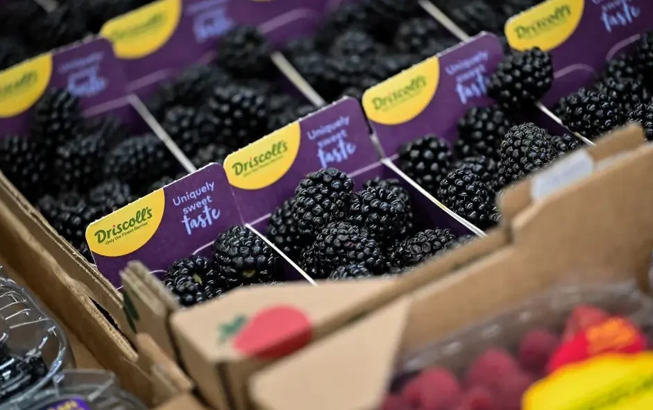 Study finds most '5-a-day' diets fall short on heart-healthy flavanols