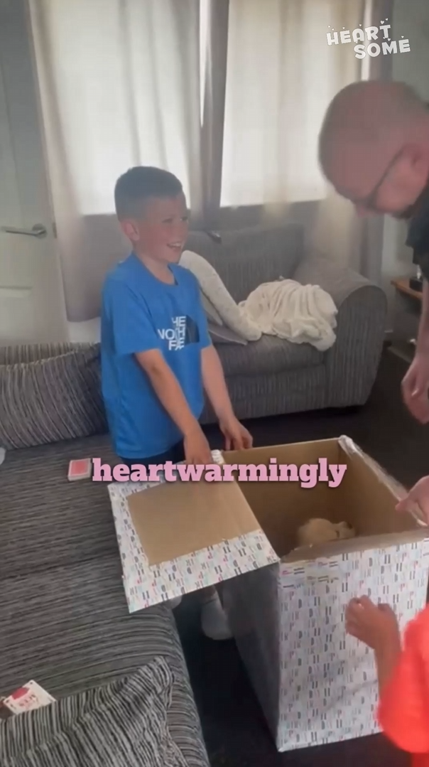 Gentle boy gets a surprise puppy heartwarming reaction from parents