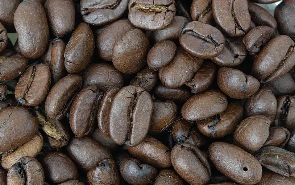 Study finds coffee benefits gut health beyond caffeine effects
