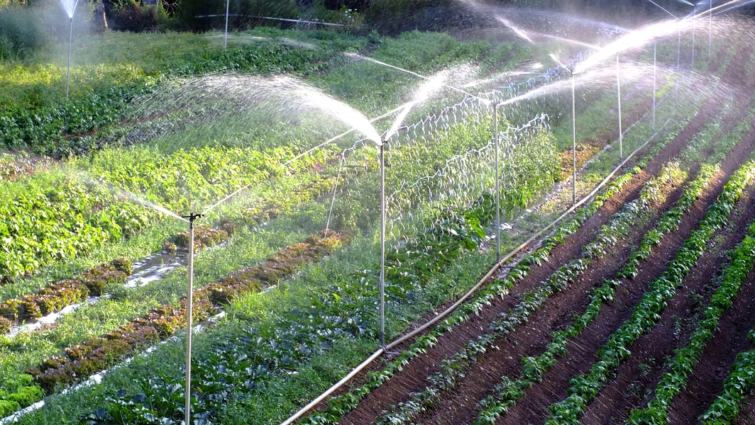 8 Raspberry Pi projects for outdoor and backyard innovation