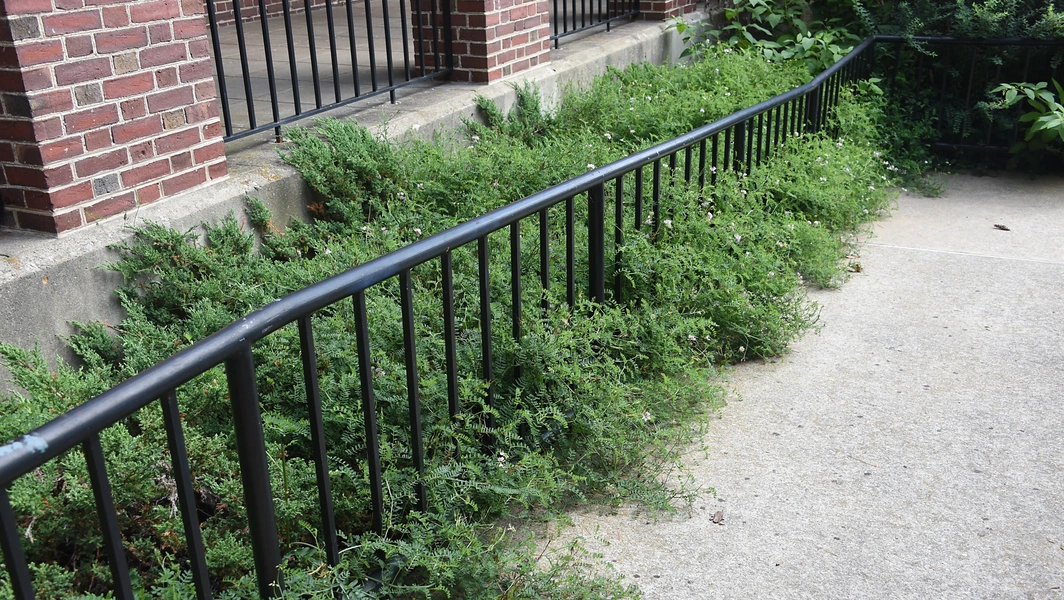 24 front yard mistakes that reduce curb appeal